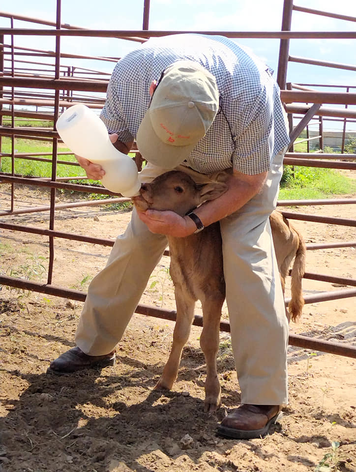 The Artesian Story – Artesian Ranch