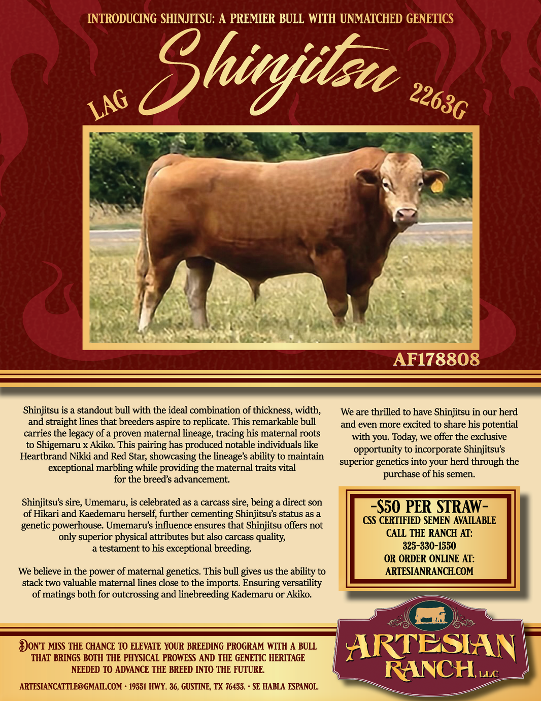 Akaushi Cattle Semen – Artesian Ranch