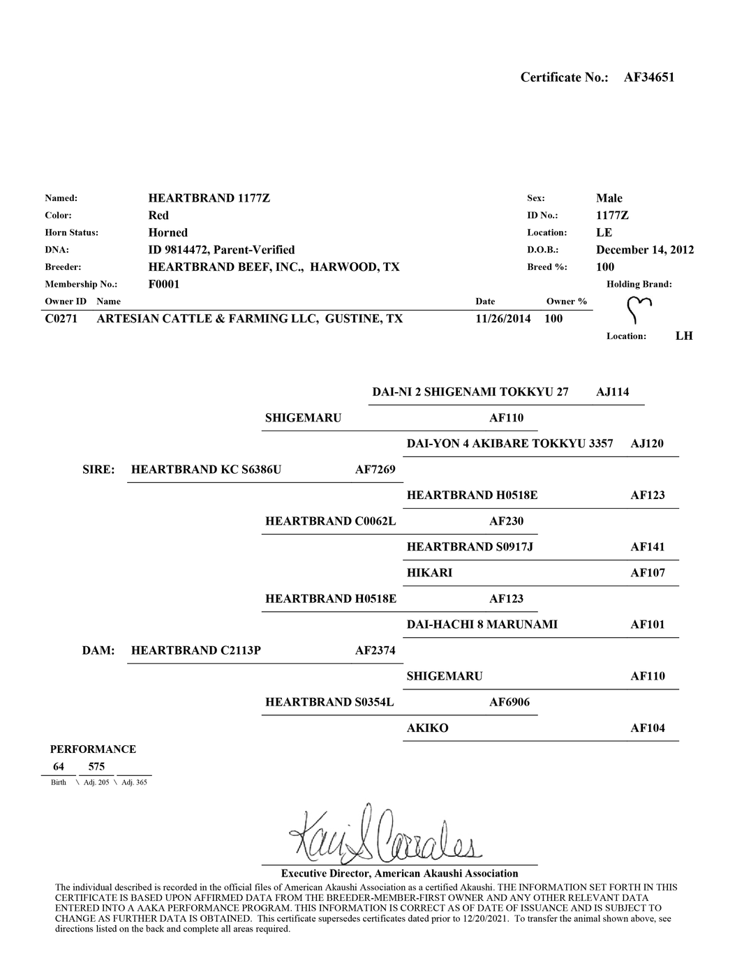Akaushi Cattle Semen – Artesian Ranch